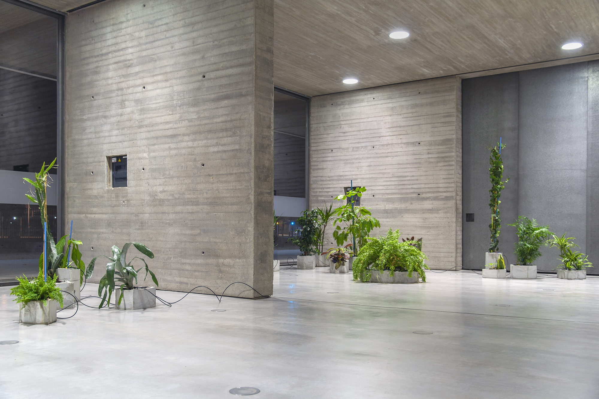 Take care of the collection