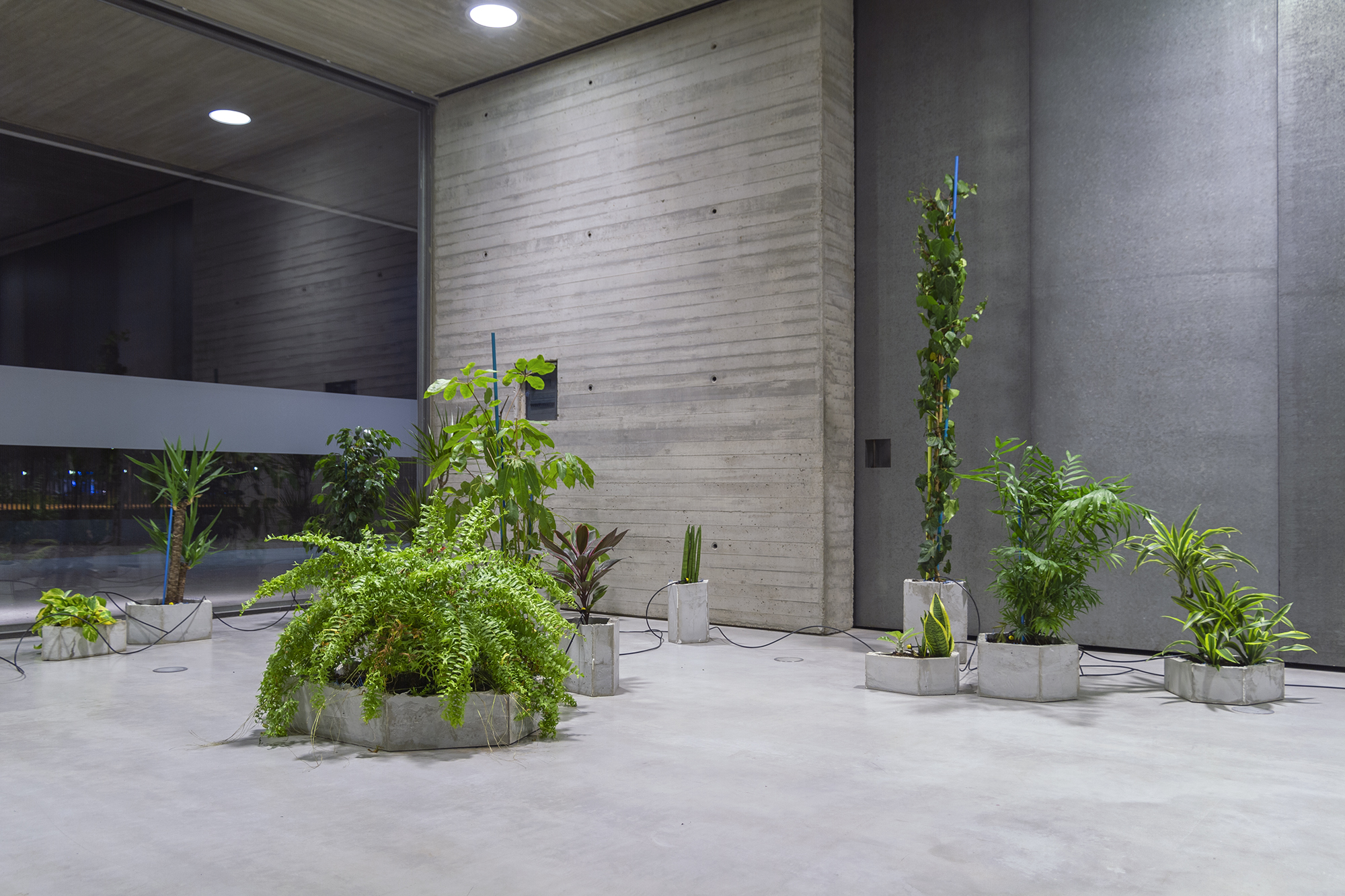 Take care of the collection