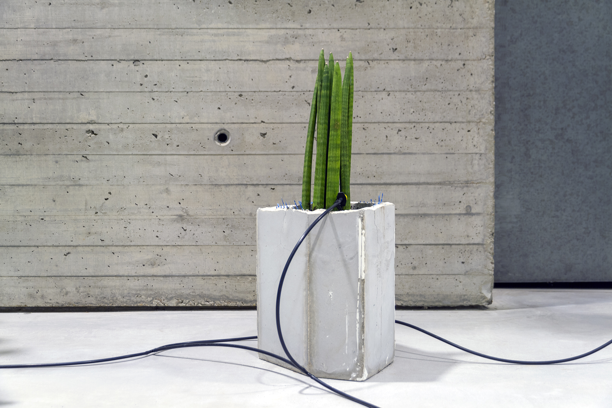 Take care of the collection